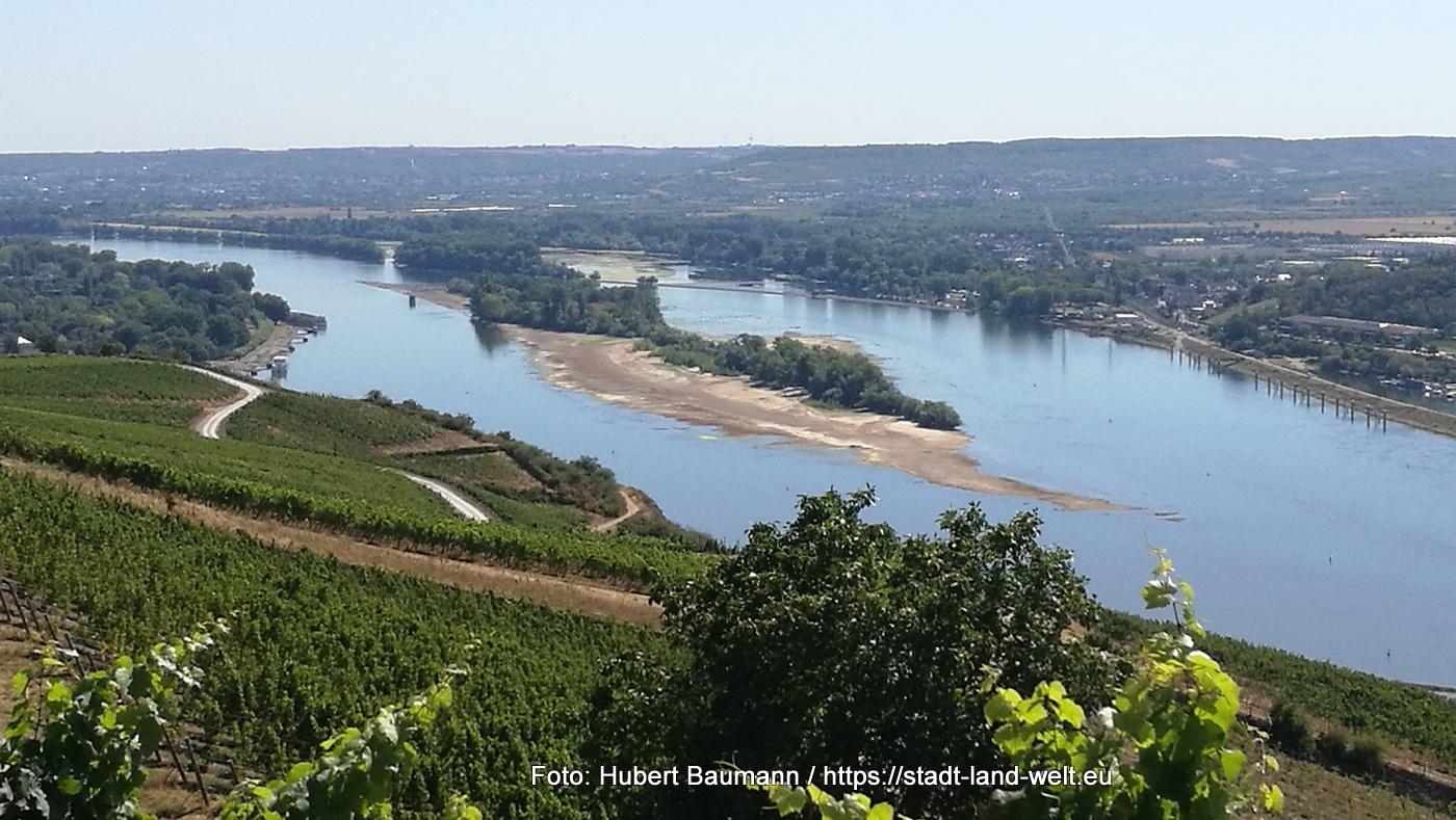 Vom Mainspitz zum oberen Mittelrhein - Flussradwege Deutschland, Flüsse ...